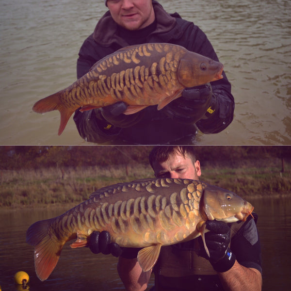 BP Milling stock fish growing well - B P Milling Ltd