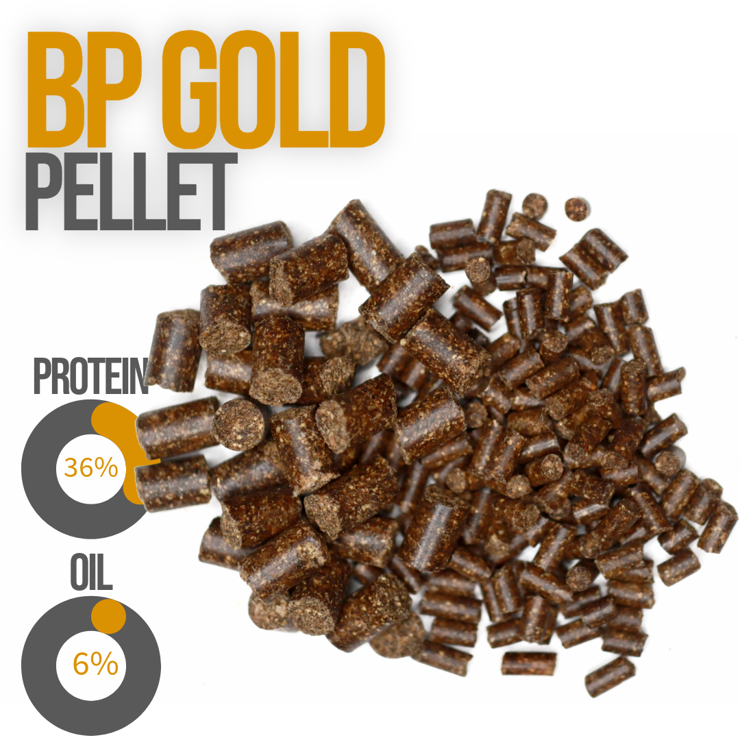 Bulk fish feed pellets - B P Milling Ltd